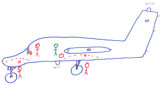 Winging It: Key Issues and Perceptions around Regulation and Practice ...