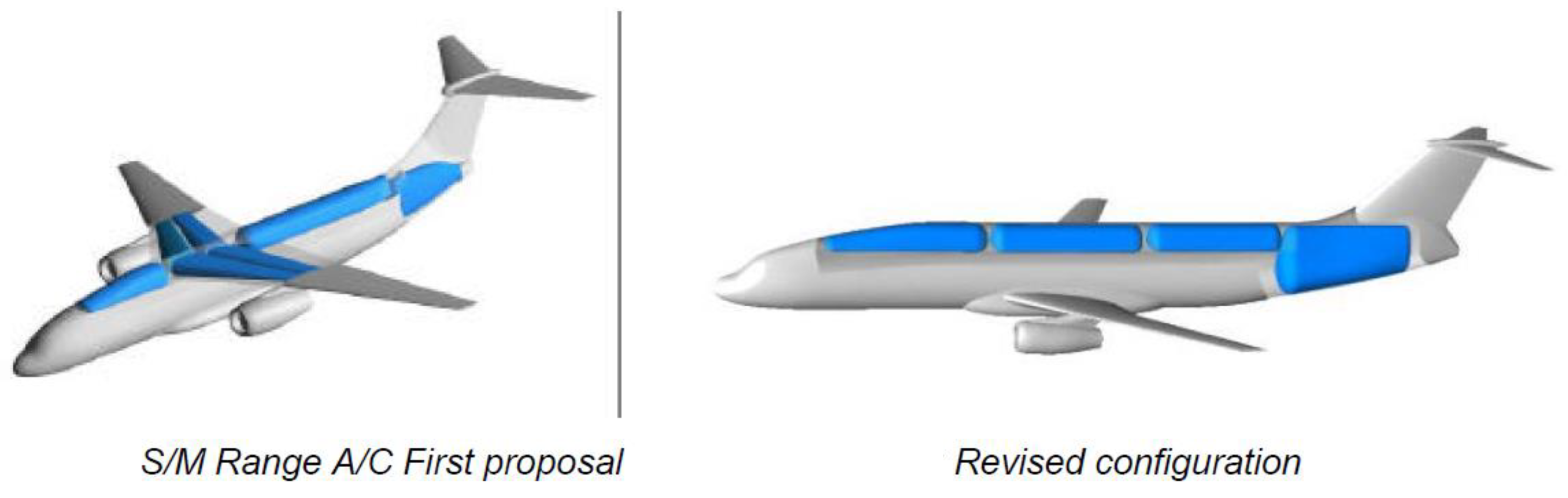 Energy Transition in Aviation: The Role of Cryogenic Fuels