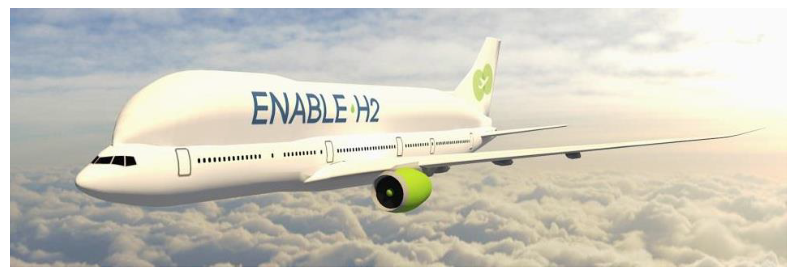 Energy Transition in Aviation: The Role of Cryogenic Fuels