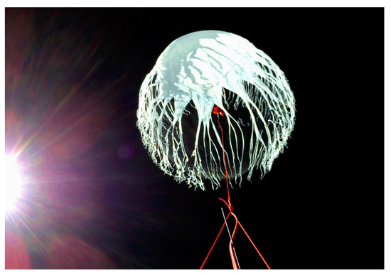 Dynamic Characterization of a High-Altitude Balloon during a Flight ...