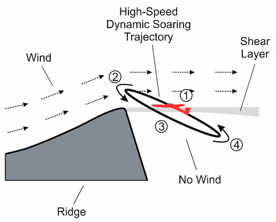 Performance Enhancement by Wing Sweep for High-Speed Dynamic Soaring