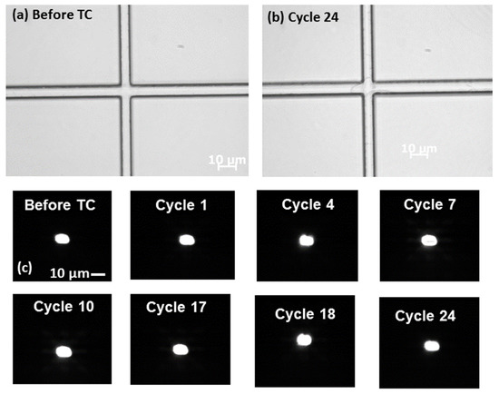 Multi-Mode Interferometry: Application to TiO2–SiO2 Sol-Gel Waveguide-Based Sensing in the ...