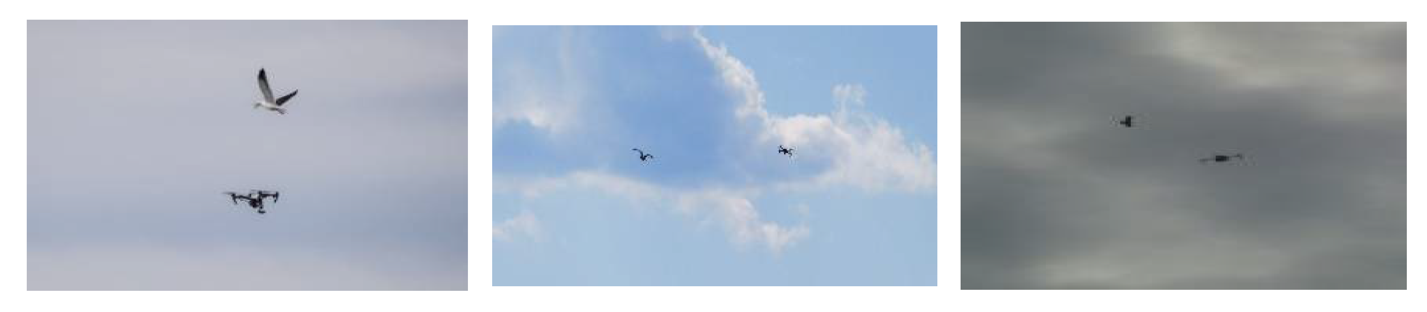 Aerospace Free Full Text Detection And Recognition Of Drones Based On A Deep Convolutional