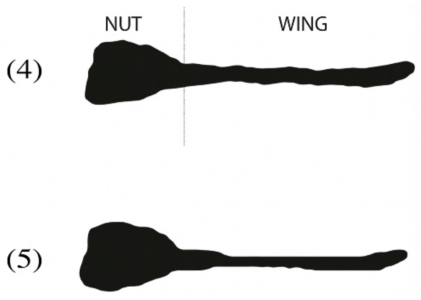 Aerospace | Free Full-Text | Leading-Edge Vortex Lift (LEVL) Sample ...