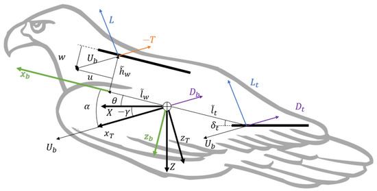 Simplified Model for Forward-Flight Transitions of a Bio-Inspired ...