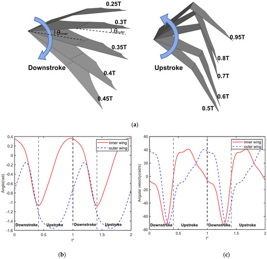 Analytical Study on Lift Performance of a Bat-Inspired Foldable ...
