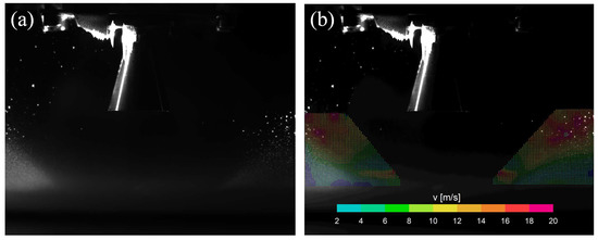 A Review of Research on the Vacuum Plume
