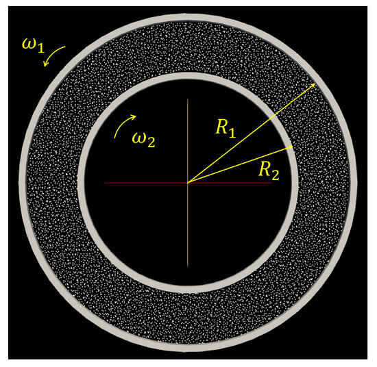 Understanding the Early Stage of Planet Formation: Design and ...