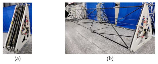 Development and Rotation Characteristics Analysis of a Large-Scale ...