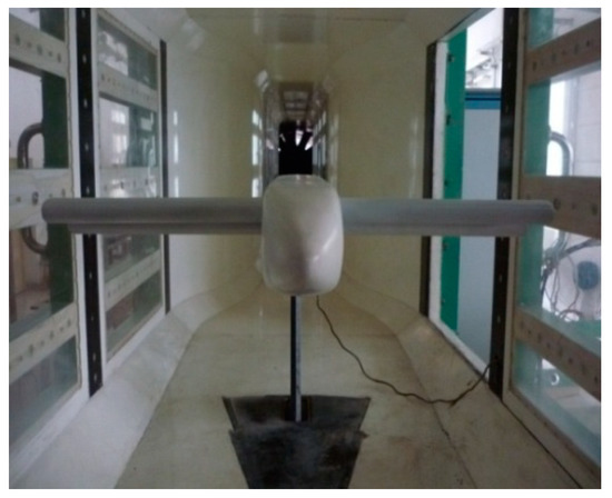 Aerodynamic Exploration for Tandem Wings with Smooth or Corrugated ...