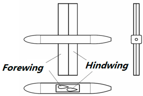 Aerodynamic Exploration for Tandem Wings with Smooth or Corrugated ...