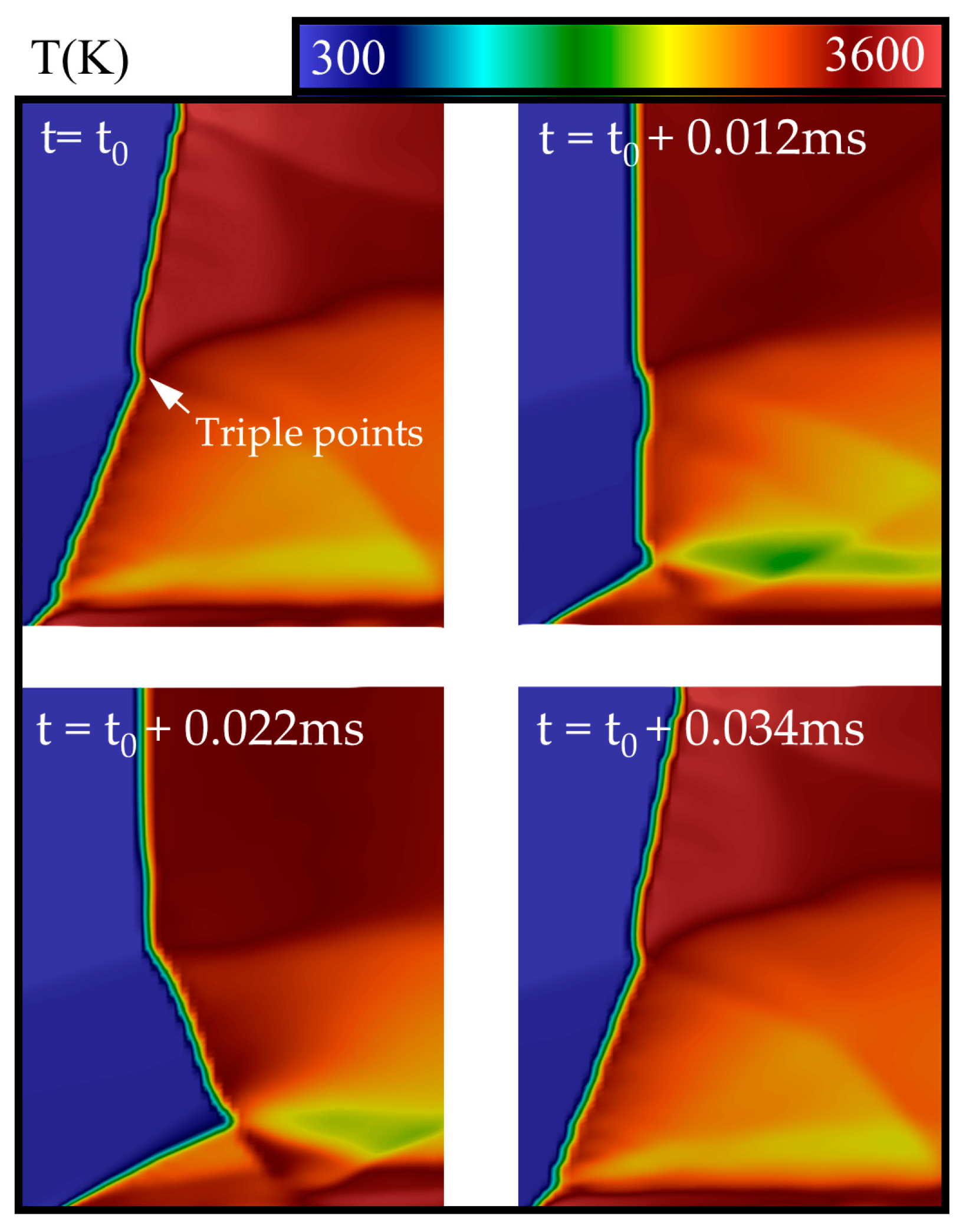 Numerical Investigation of the Oblique Detonation Waves and Stability ...