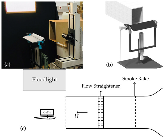 Influence of a Deflectable Leading-Edge on a Flapping Airfoil