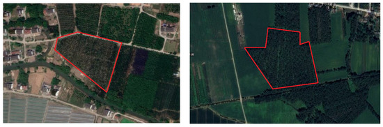 Coverage Path Planning Method for Agricultural Spraying UAV in Arbitrary Polygon Area