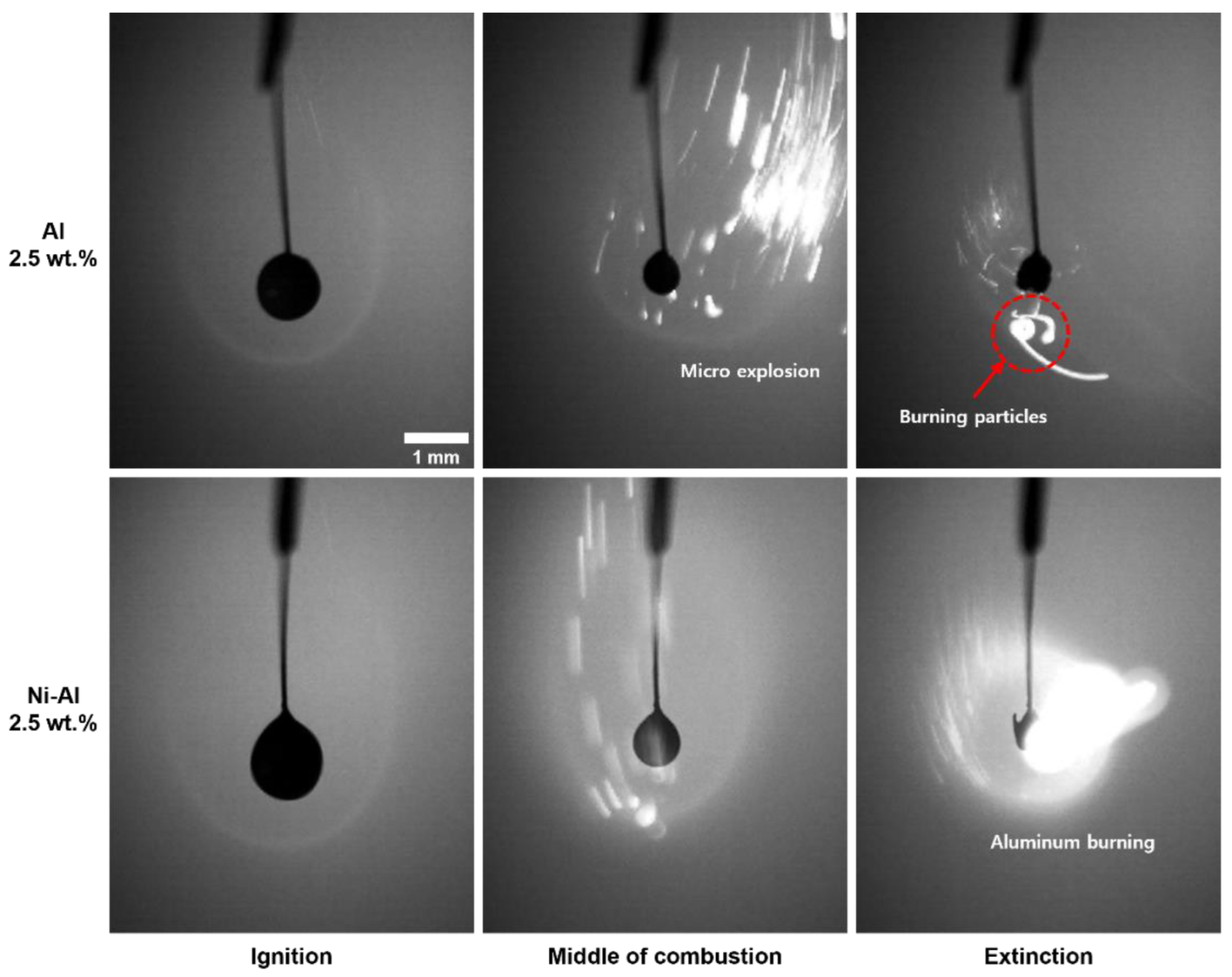 Study on the Combustion Characteristics of Ethanol Nanofuel