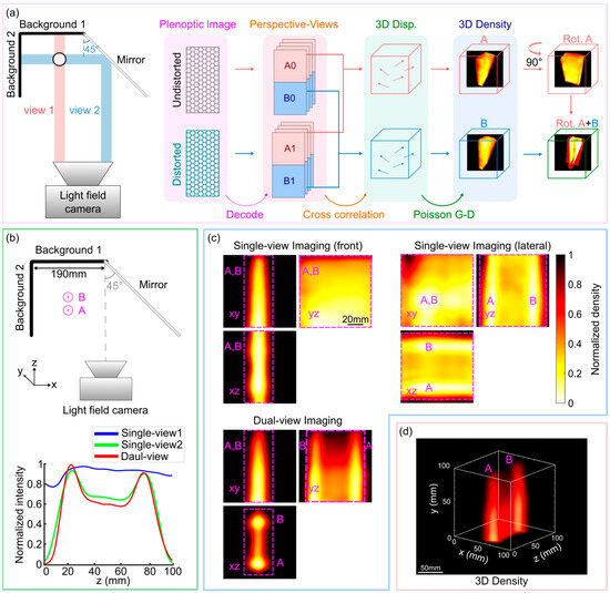 A Mini-Review of Recent Developments in Plenoptic Background-Oriented ...