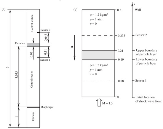Interaction of a Dense Layer of Solid Particles with a Shock Wave Propagating in a Tube