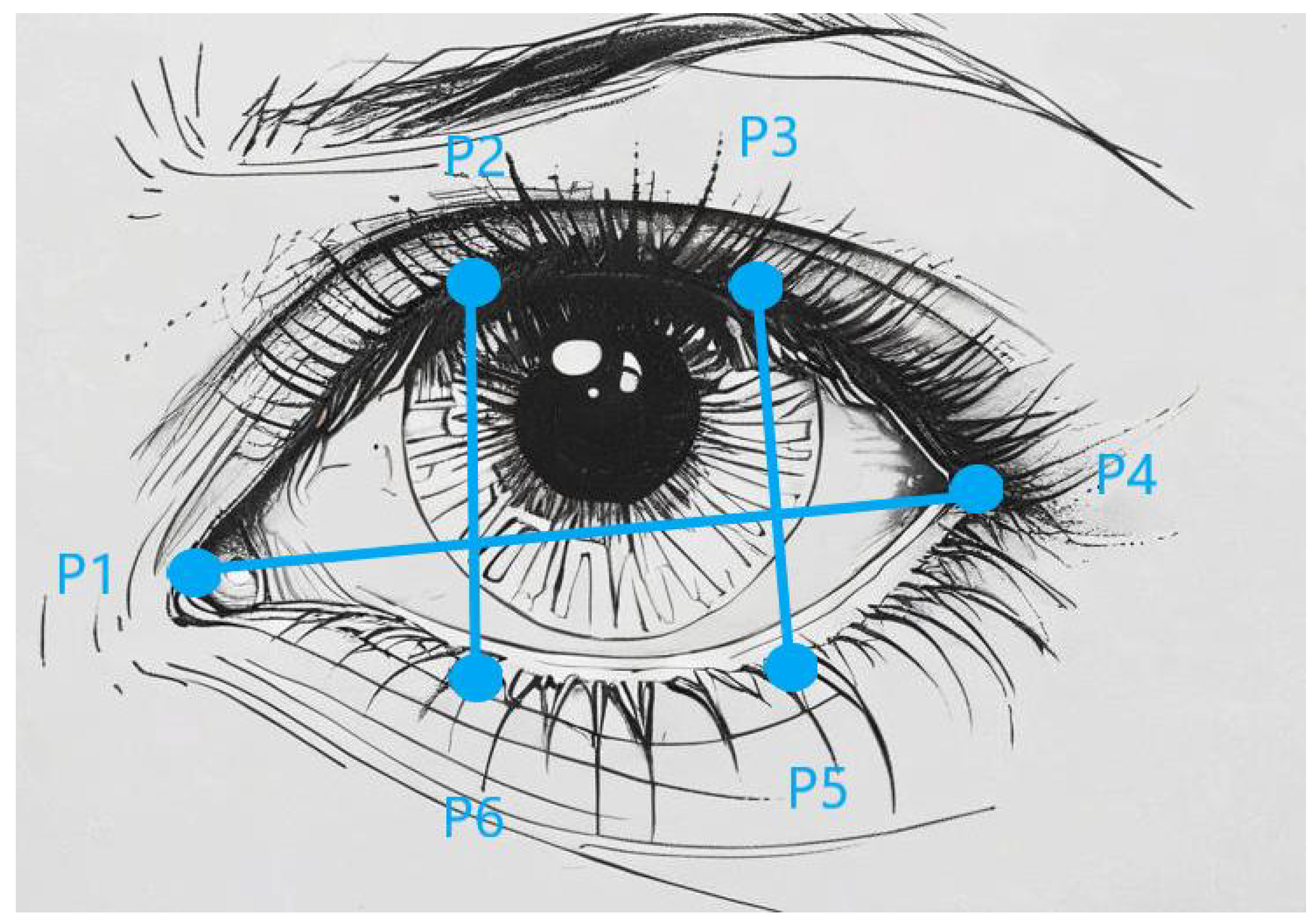 Fatigue Detection of Air Traffic Controllers Through Their Eye Movements