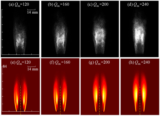 Experimental Investigation of Pure Hydrogen Flame in a Matrix Micro ...
