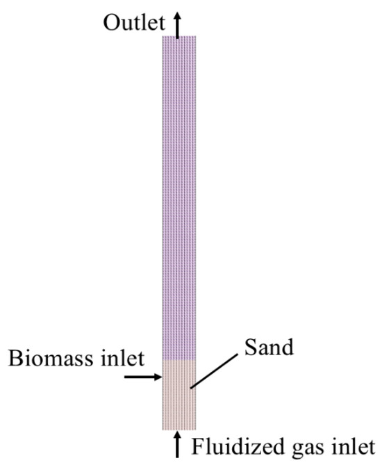 Numerical Investigation of Tar Formation Mechanisms in Biomass Pyrolysis