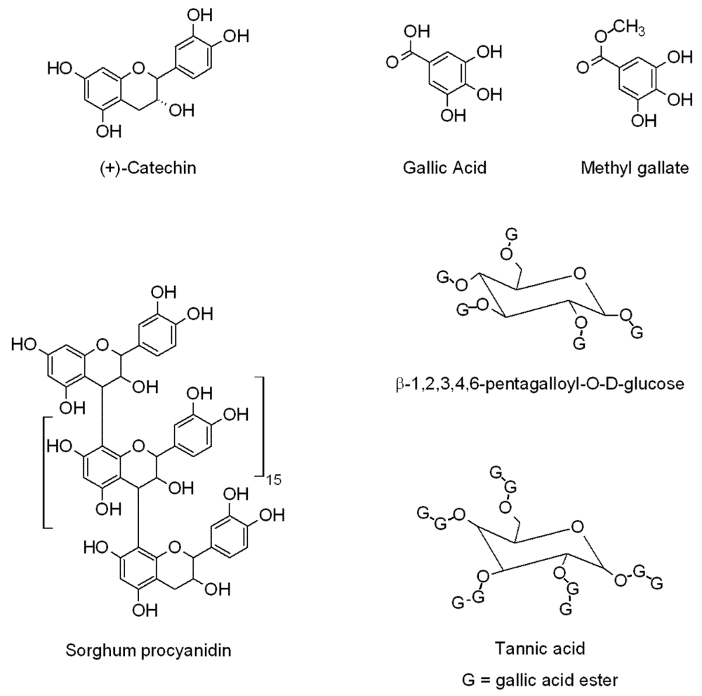 Tannin Structure