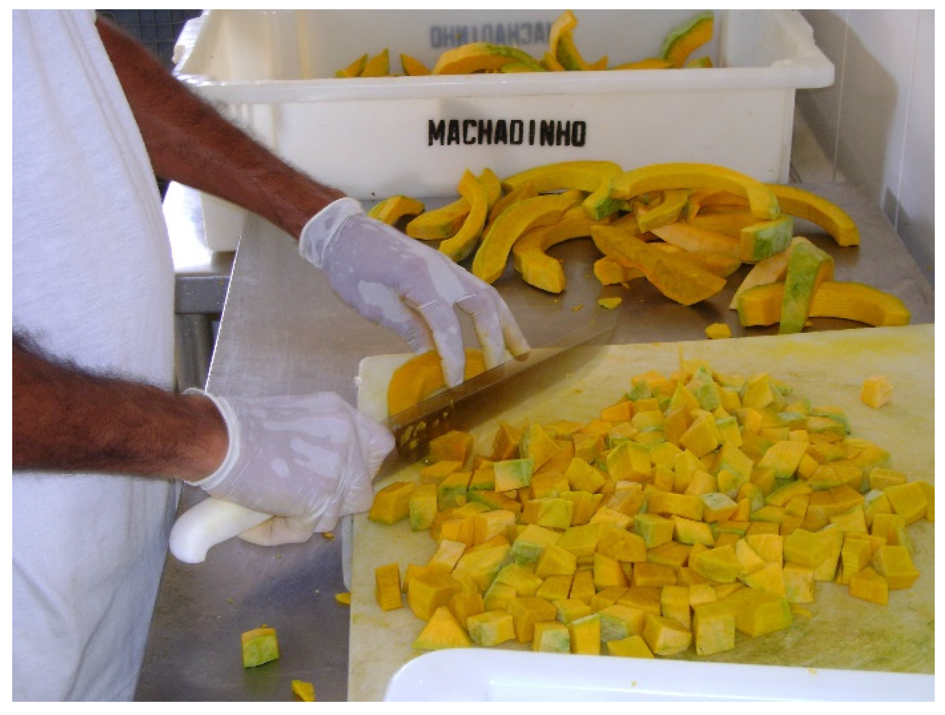 Sustainable Agricultural Mechanization for Smallholders: What Is It and ...