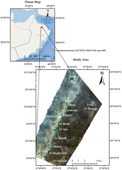 Relationship of Date Palm Tree Density to Dubas Bug Ommatissus lybicus ...