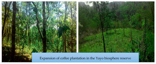 Agricultural Biodiversity and Ecosystem Services of Major Farming ...