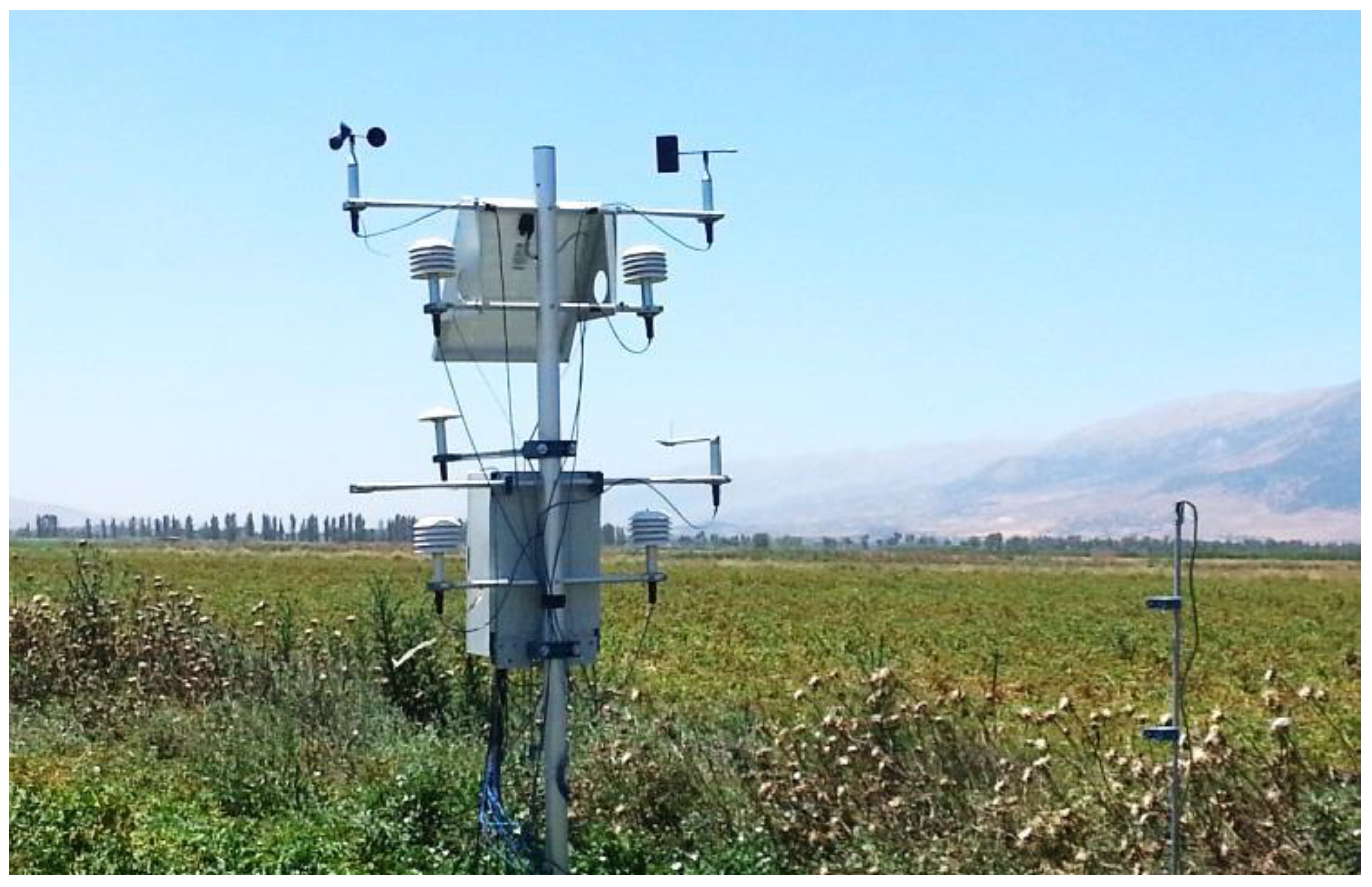 Toward Precision in Crop Yield Estimation Using Remote Sensing and Optimization Techniques