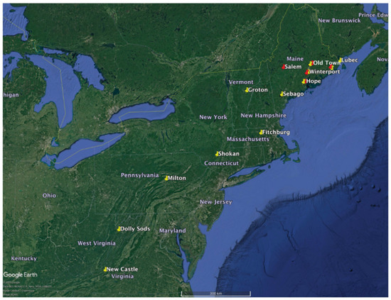 Genetic Diversity of Lowbush Blueberry throughout the United States in ...