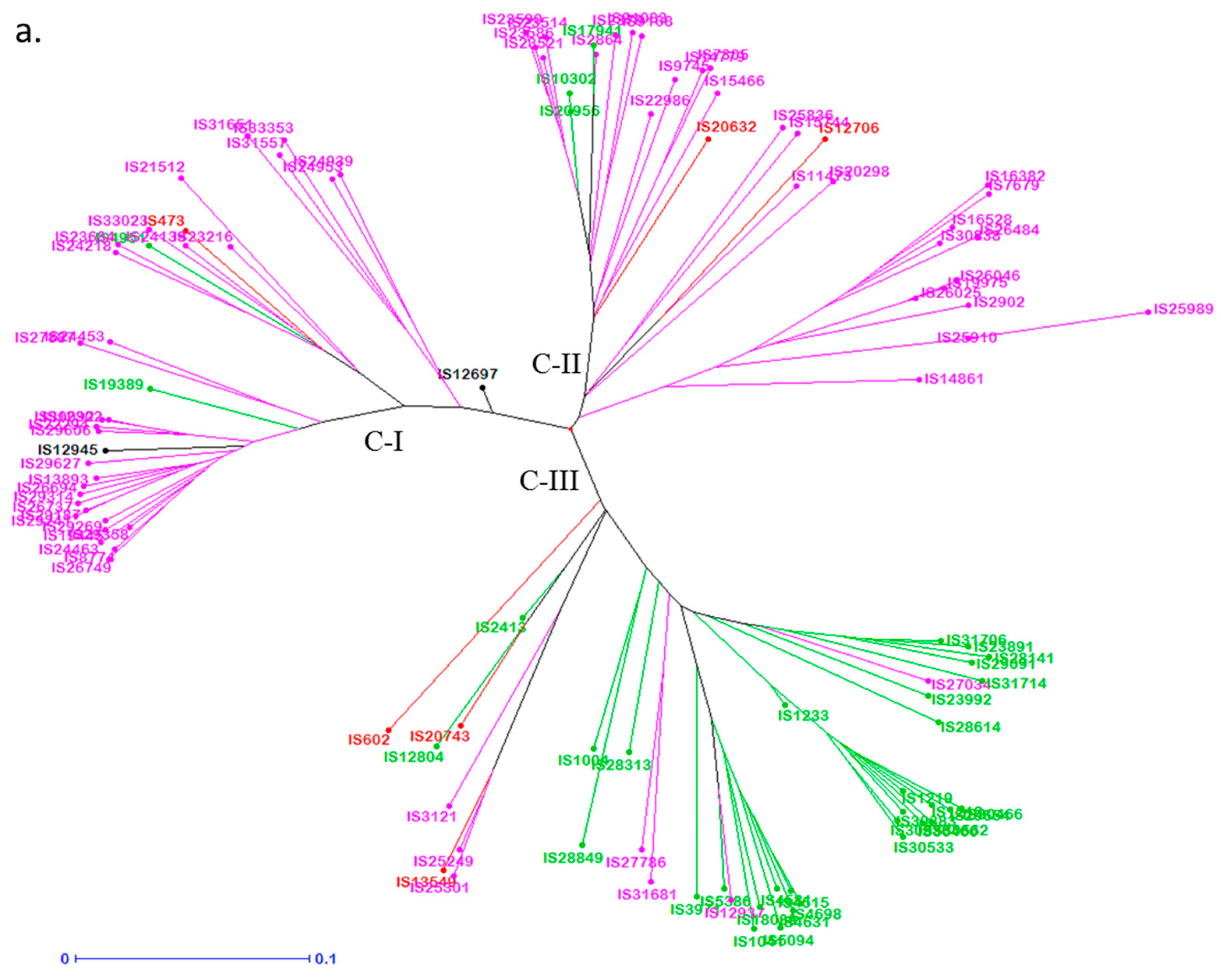 Multi-Trait Diverse Germplasm Sources from Mini Core Collection for Sorghum Improvement