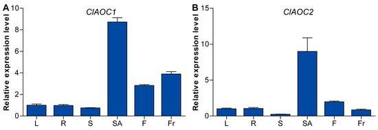 Identification and Expression Analysis of Two allene oxide cyclase (AOC ...