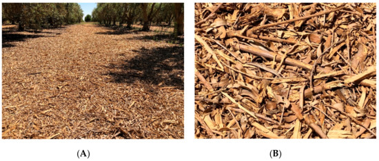 Sustainable Management of Olive Orchard Nutrition: A Review