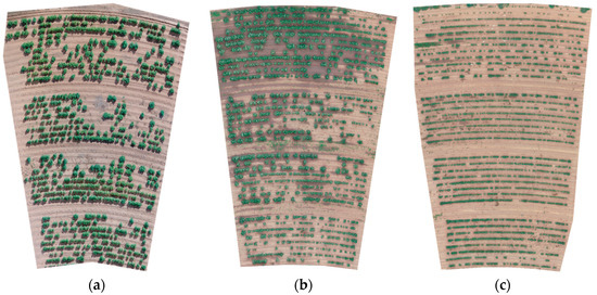 BLOB-Based AOMs: A Method for the Extraction of Crop Data from Aerial ...