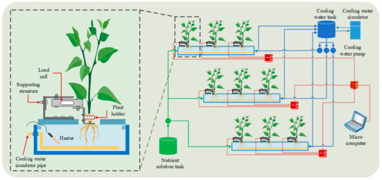 Modeling the Dynamic Response of Plant Growth to Root Zone Temperature in Hydroponic Chili ...