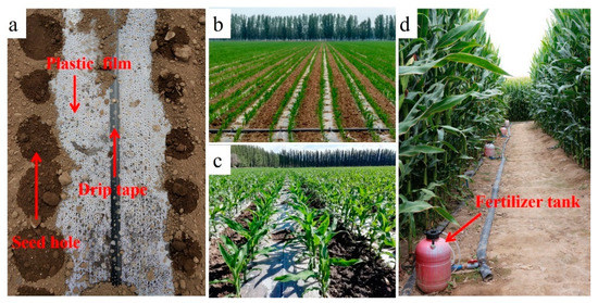 Nitrogen Split Application Can Improve the Stalk Lodging Resistance of ...