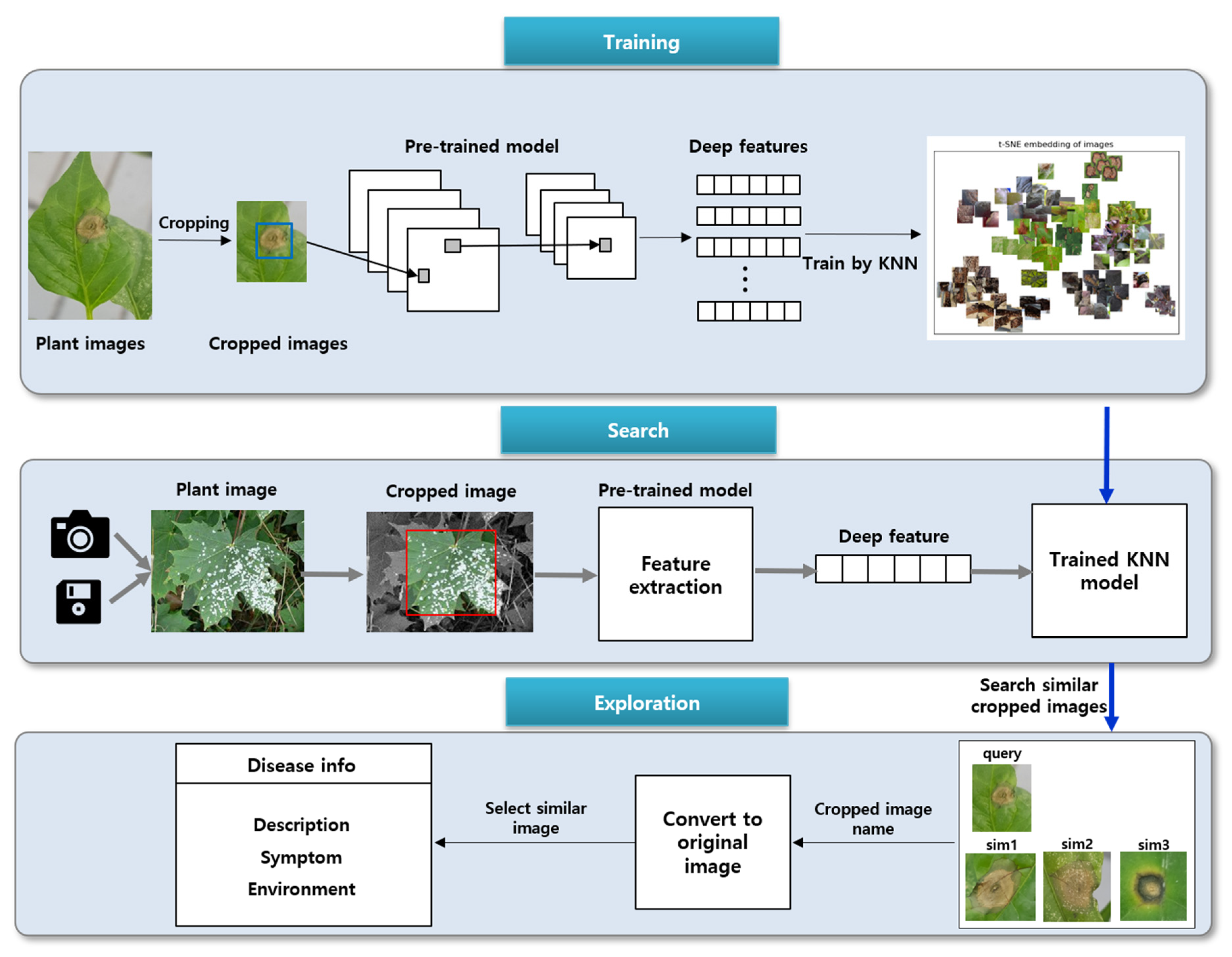 Agriculture | Free Full-Text | Transfer Learning-Based Search Model for ...