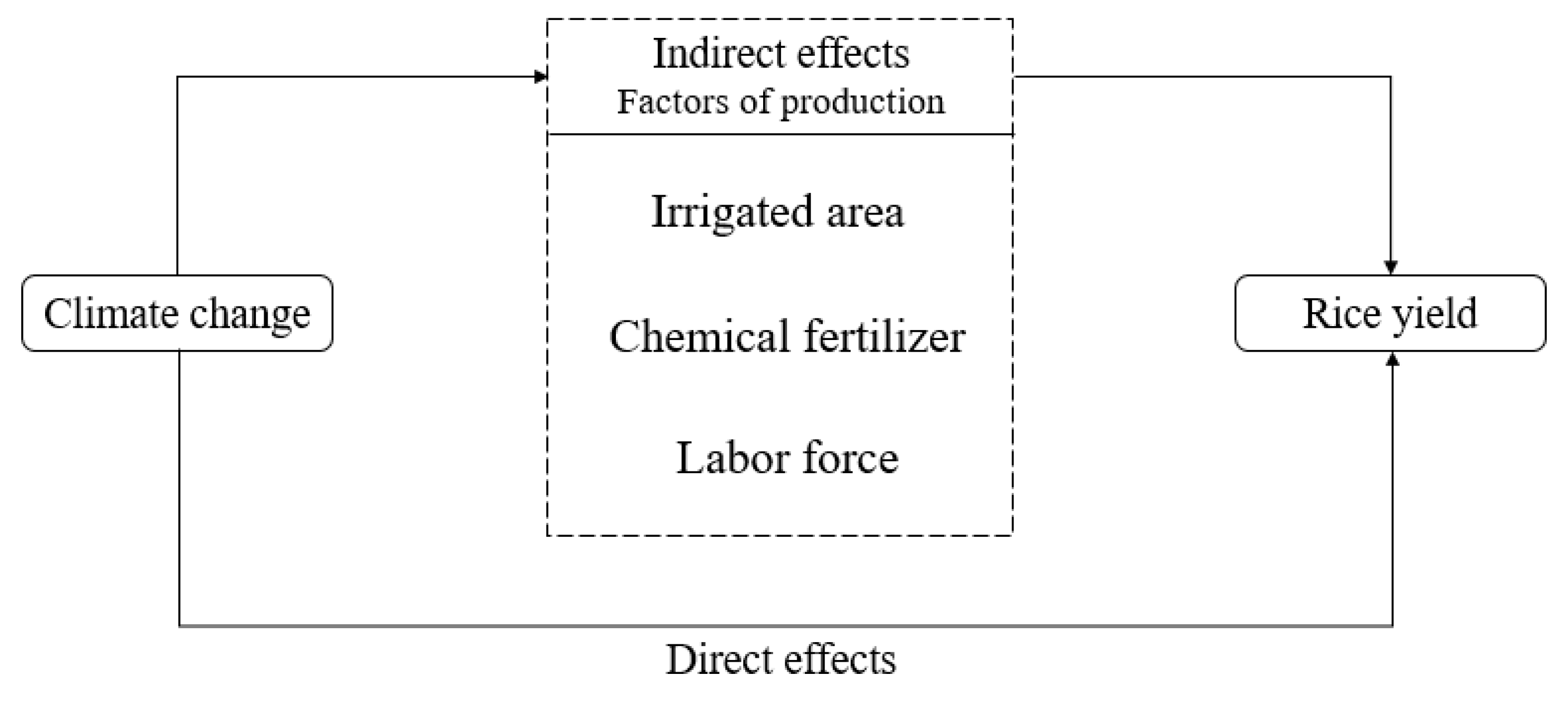 How Does Climate Change Affect Rice Yield in China?