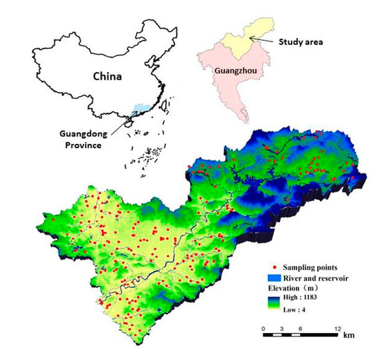 Soil Quality Characteristics as Affected by Continuous Rice Cultivation ...