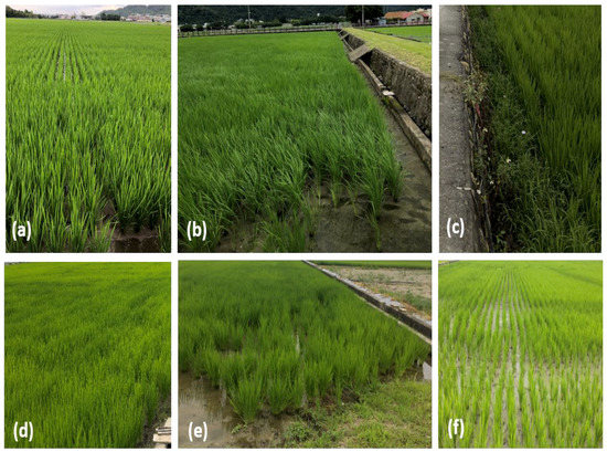 Agriculture | Free Full-Text | The Comparison of Density-Based ...