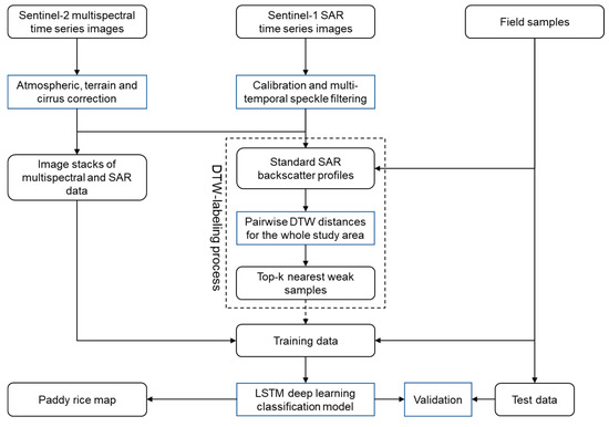 Mapping Paddy Rice Using Weakly Supervised Long Short-Term Memory Network with Time Series ...