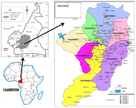 Agriculture | Free Full-Text | Waste of Fresh Fruits in Yaoundé ...