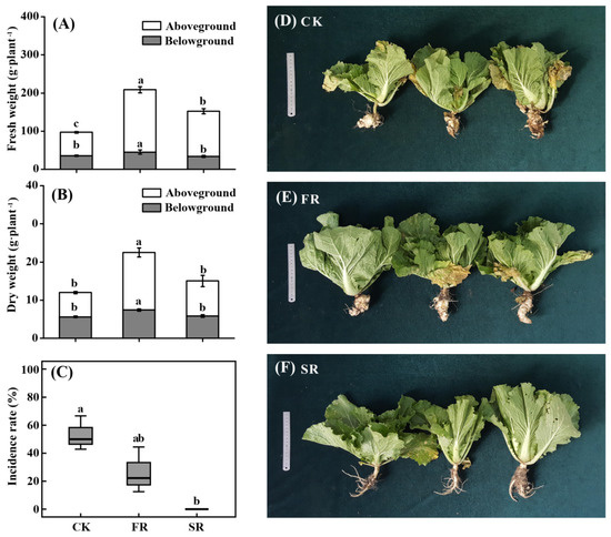 Repeated Application of Rice Straw Stabilizes Soil Bacterial Community ...