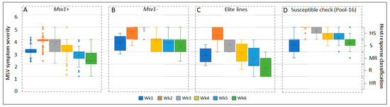 Validation of Diagnostic Markers for Streak Virus Disease Resistance in ...