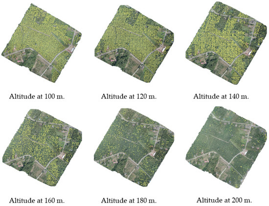 Oil Palm Tree Detection and Health Classification on High-Resolution Imagery Using Deep Learning