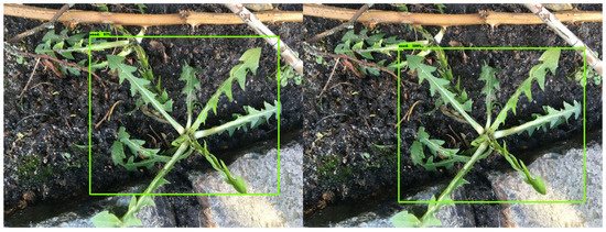Plant and Weed Identifier Robot as an Agroecological Tool Using ...