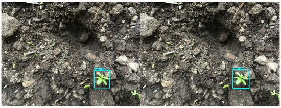 Plant and Weed Identifier Robot as an Agroecological Tool Using ...