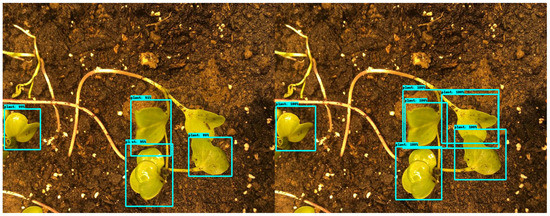 Plant and Weed Identifier Robot as an Agroecological Tool Using ...