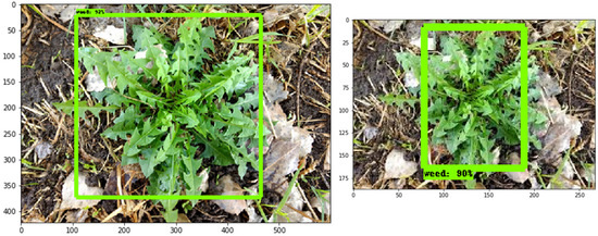 Plant and Weed Identifier Robot as an Agroecological Tool Using ...