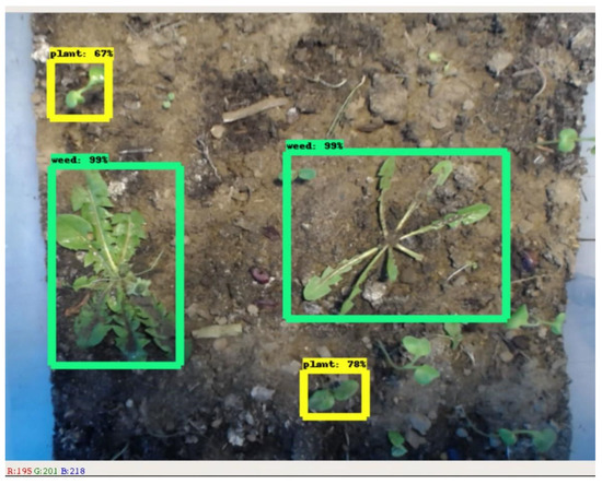 Plant and Weed Identifier Robot as an Agroecological Tool Using ...